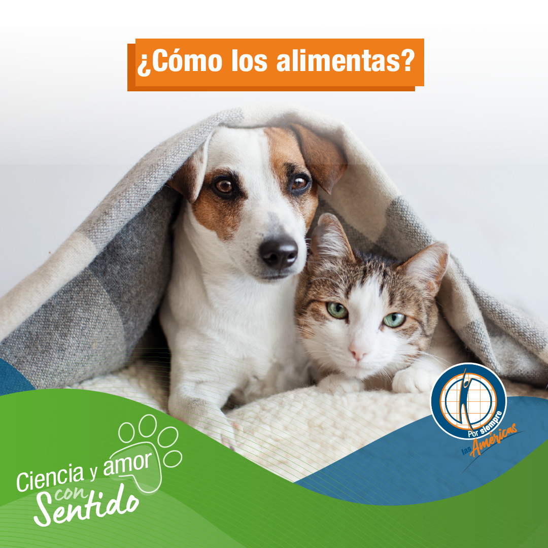 ¡Ten cuidado con la comida que ingiere tu perrito!