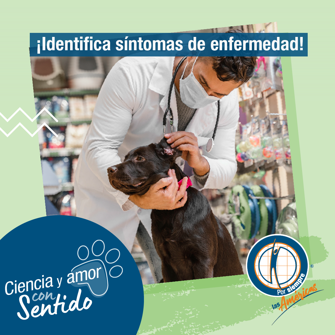 ¡Identifica síntomas de enfermedad!